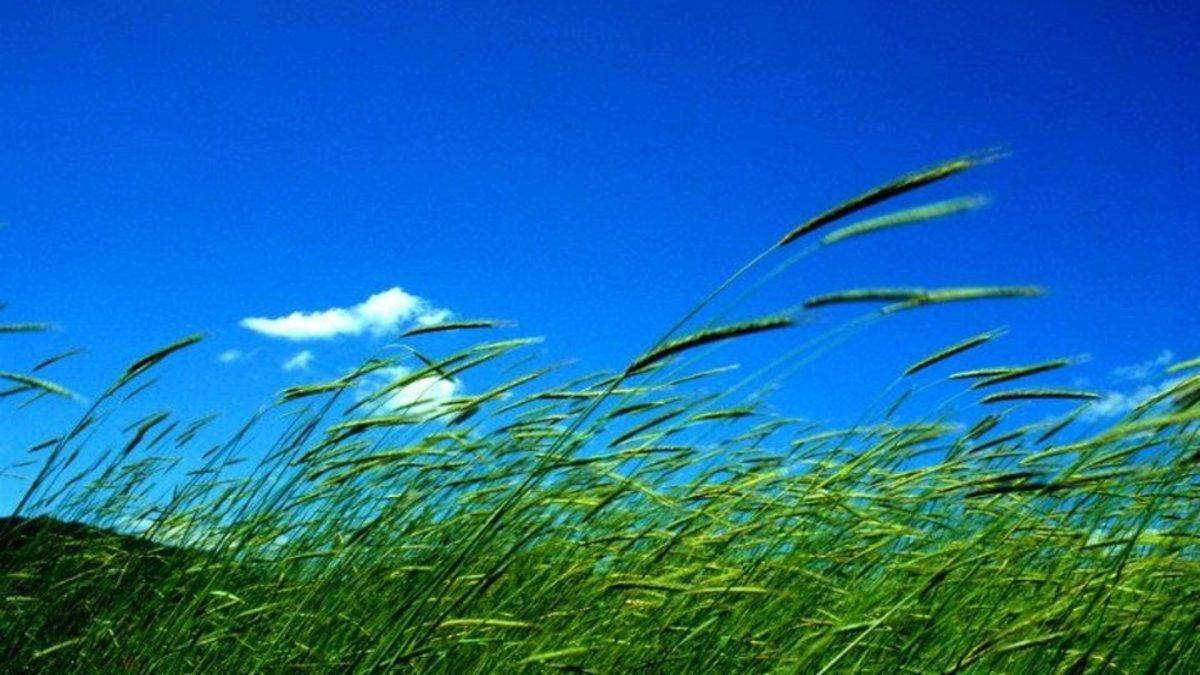 Este es el lugar con el aire más puro del mundo