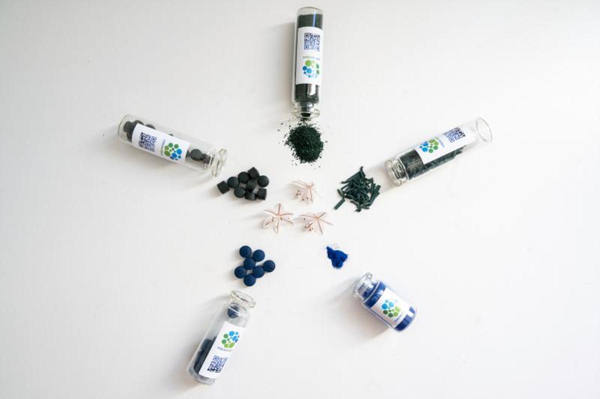 FOTOS | Microalgae Lab, la primera empresa en iniciarse en el cultivo ...