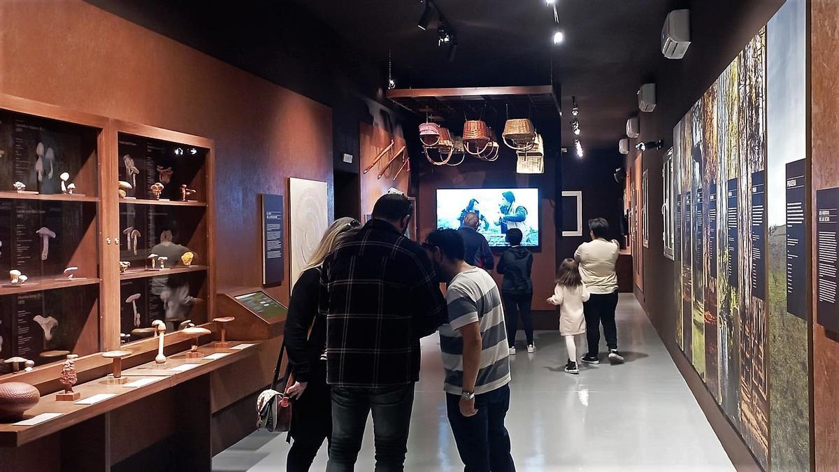 El Museo Micológico de Monesterio se estrena con 250 visitas durante el ...