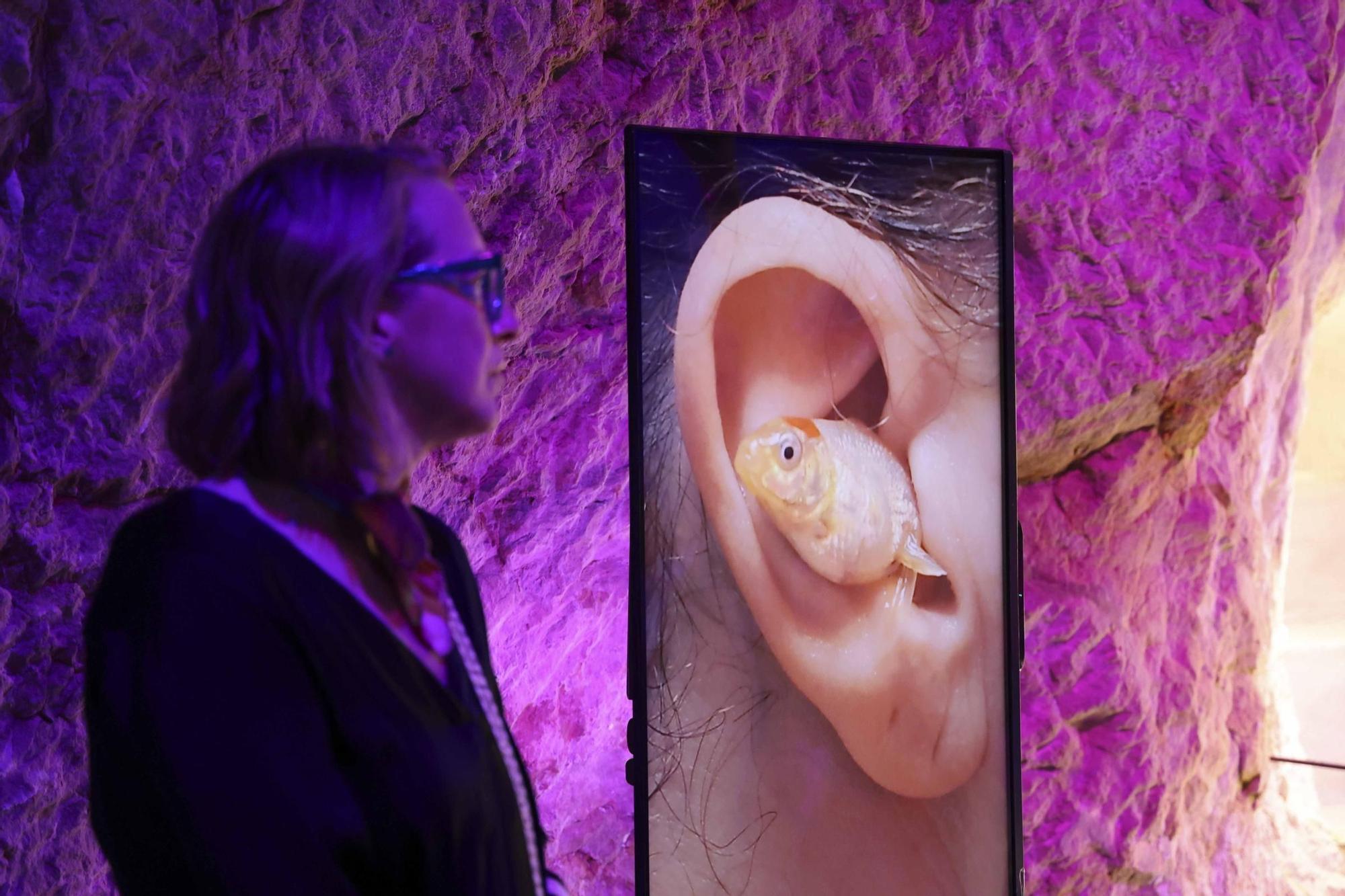 La artista costarricense Karla Solano instala "Origen" en la nueva sala ...