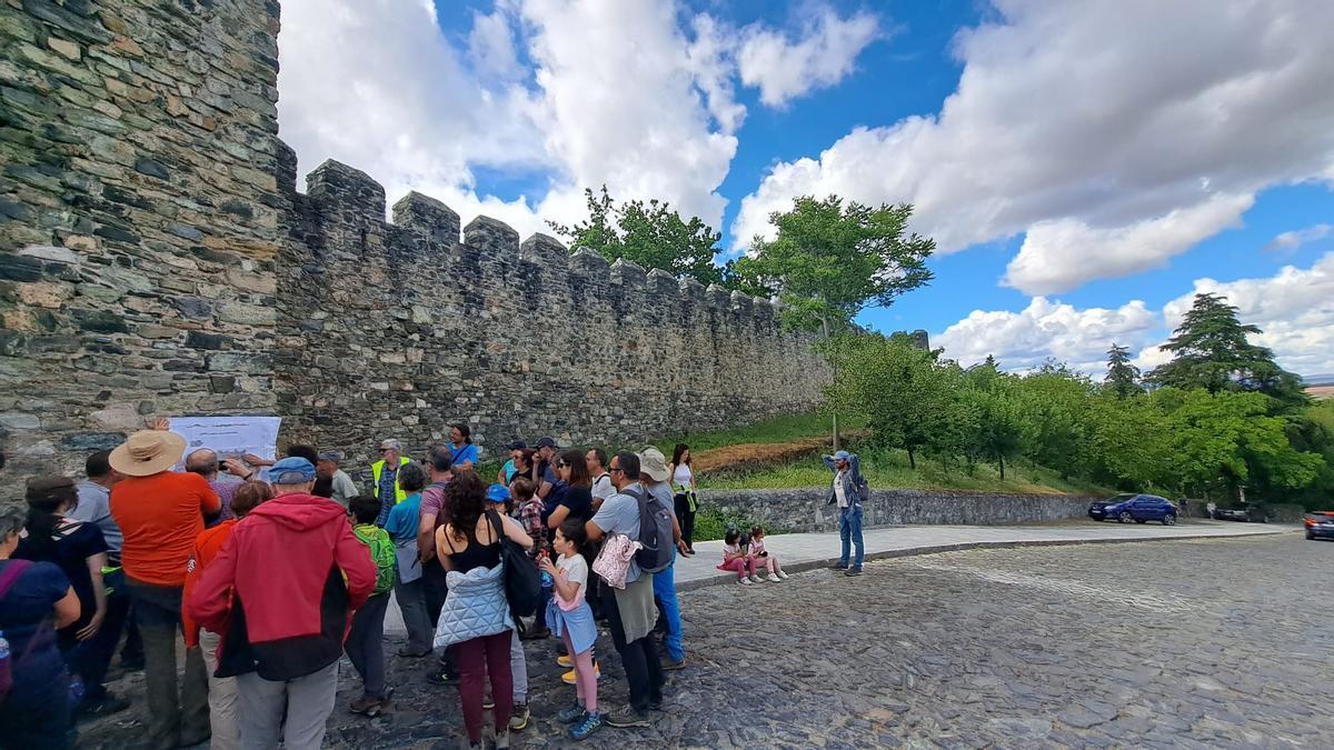 El secreto "rupestre" de Nuez de Aliste