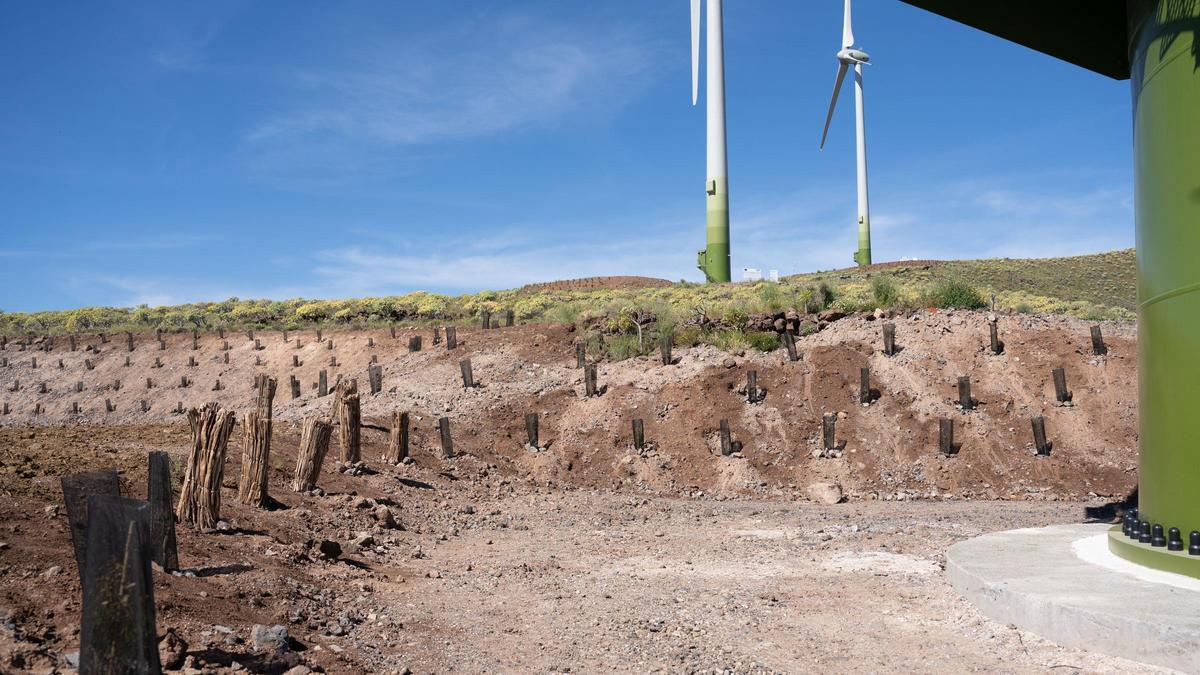 Ecoener arranca cinco parques eólicos en La Gomera y afianza su ...