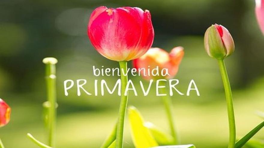 20 frases e imágenes para recibir la primavera 2020