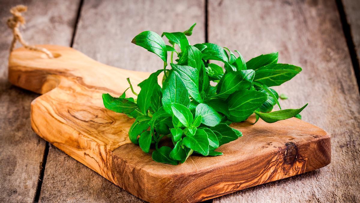 Restregar albahaca en la cara: la solución antiedad y sin químicos que ...
