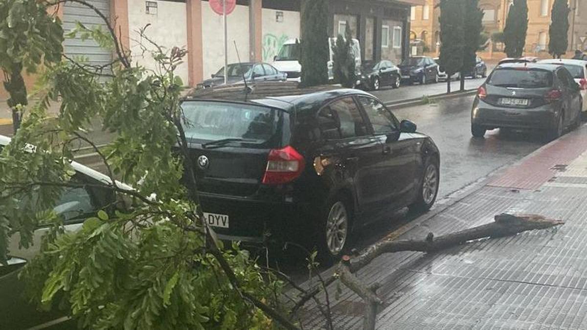 La tormenta en Huesca deja ramas de árboles sobre los coches y calles ...