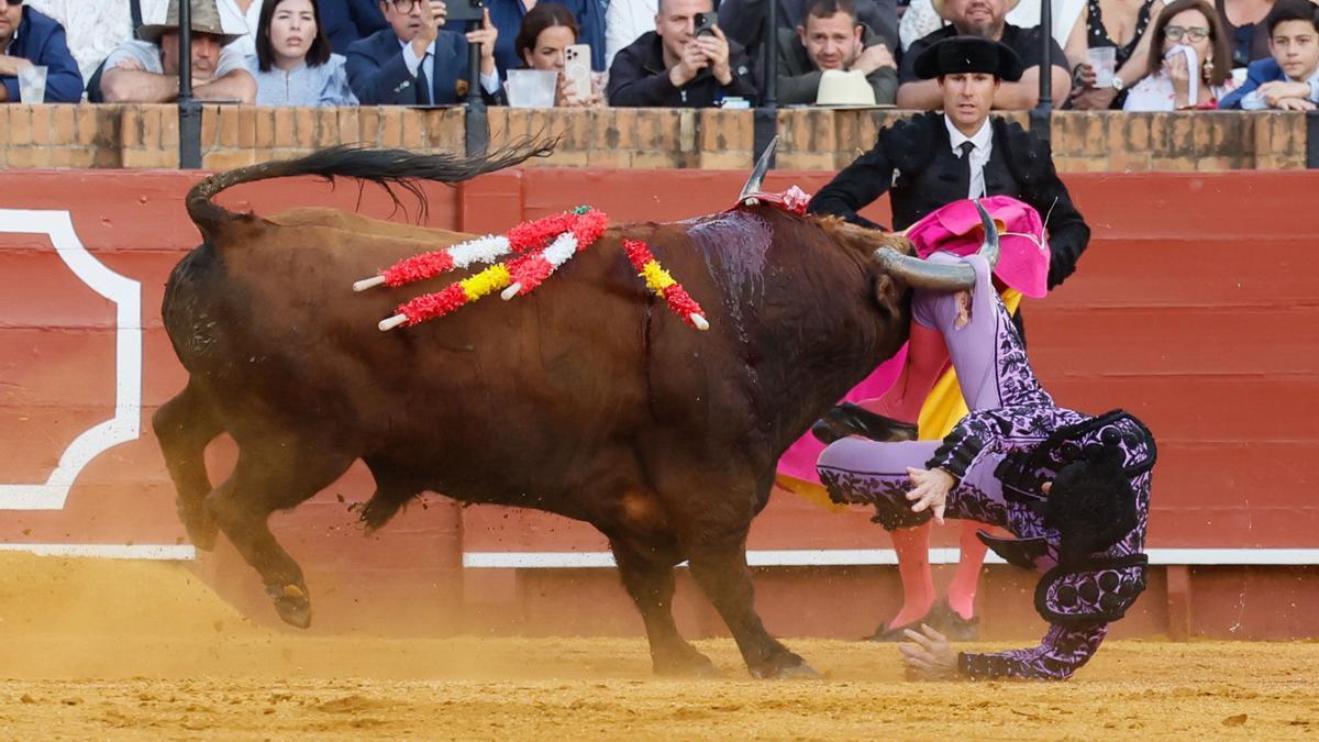 TOROS | Espeluznante cornada al banderillero Javier Ambel en la Maestranza