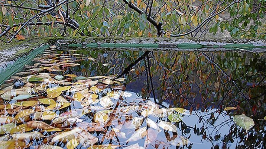 Violeta Díaz, ganadora del Rally fotográfico