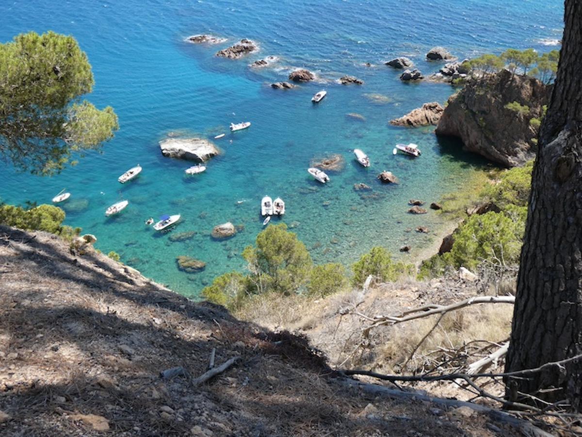 IMPACTE MEDIAMBIENTAL | Sos Costa Brava: “Els delinqüents nàutics estan ...