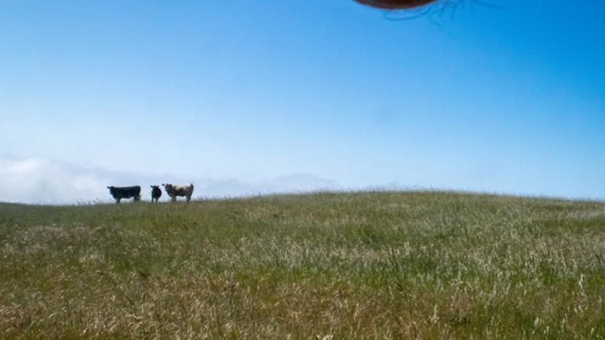 'Nutscapes': les selfies de testicles en paisatges naturals ...