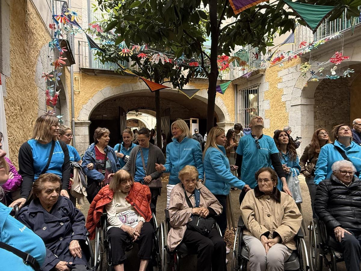 Els avis de la residència Can Regàs visiten Temps de Flors amb ...