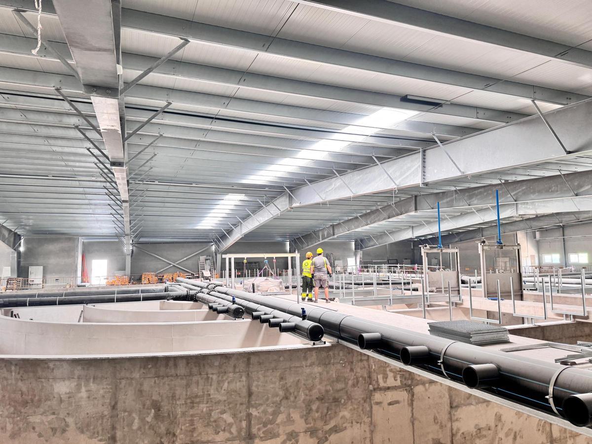 La piscifactoría del puerto de Alicante engorda: una segunda fase para ...
