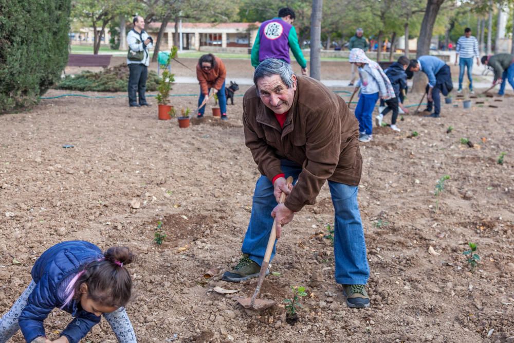 Más vida y color en el parque Krekovic de Palma - Diario de Mallorca