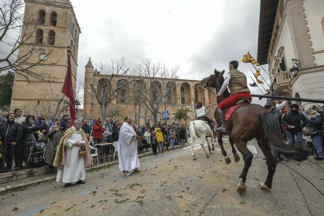 Sant Antoni 2025: So bunt waren die Tiersegnungen in Muro und Palma