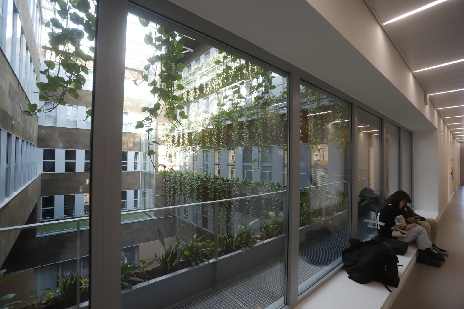 En imágenes | La Facultad de Filosofía y Letras empieza a recibir a los ...