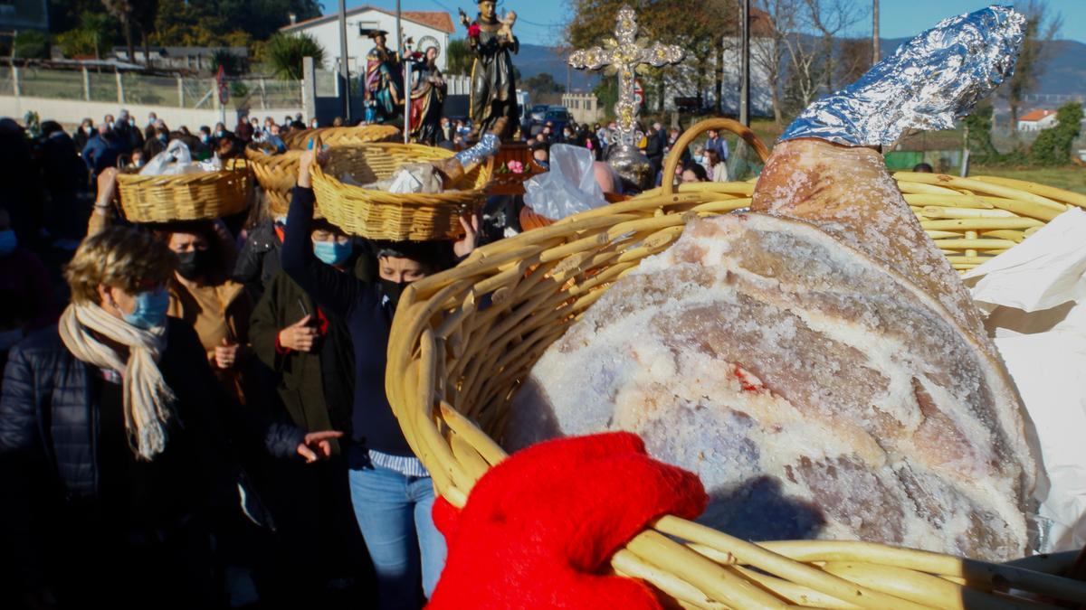 San Roque, San Antón y San Paio montan una fiesta de lacones