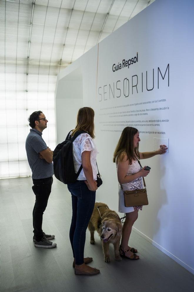 Pon a prueba tus cinco sentidos en 'Sensorium' - Viajar