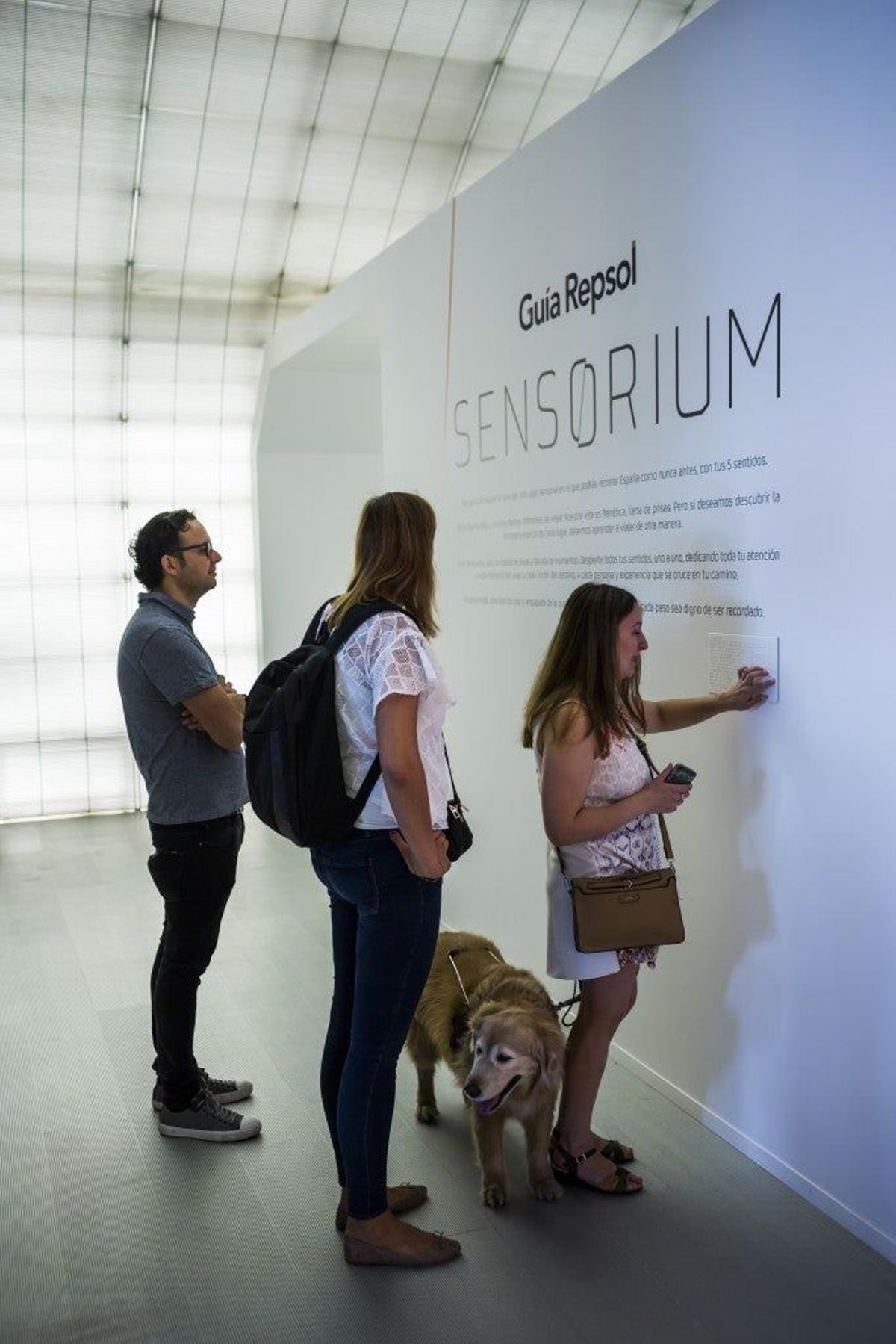 Pon a prueba tus cinco sentidos en 'Sensorium' - Viajar