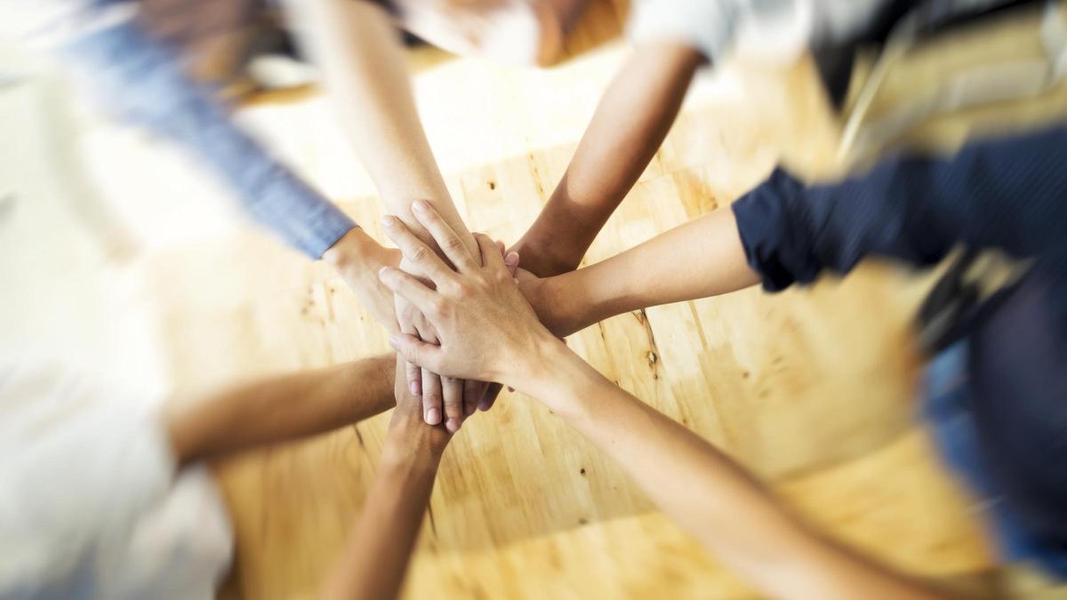 ¿Cuáles son las diferencias entre compañerismo y amistad?