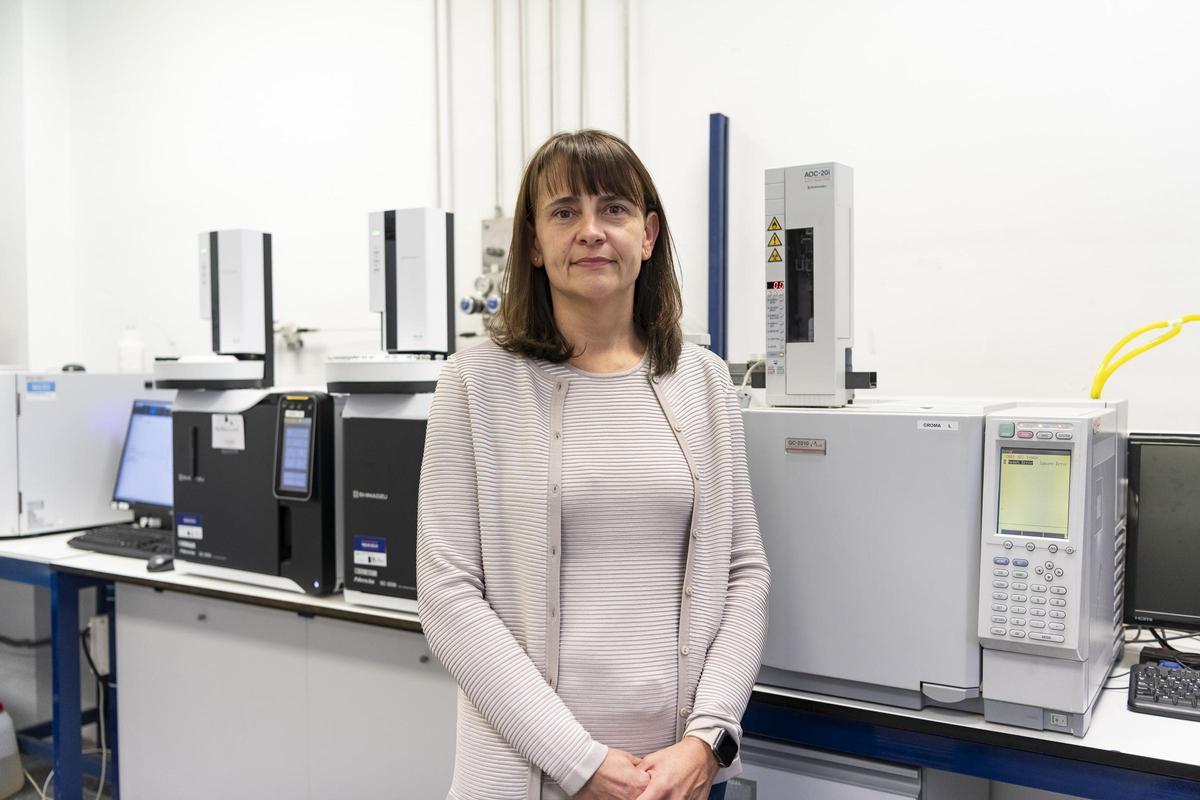 Química VALENCIA: Premian a una investigadora del ITQ por sus avances ...