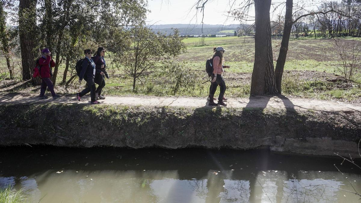 Un ciclista cau dins de la sèquia entre Sallent i Santpedor