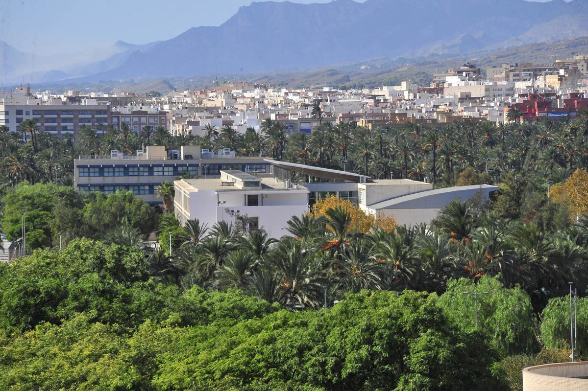 UNIVERSIDAD | La UMH tendrá rocódromo, huerto ecológico y un espacio de ...