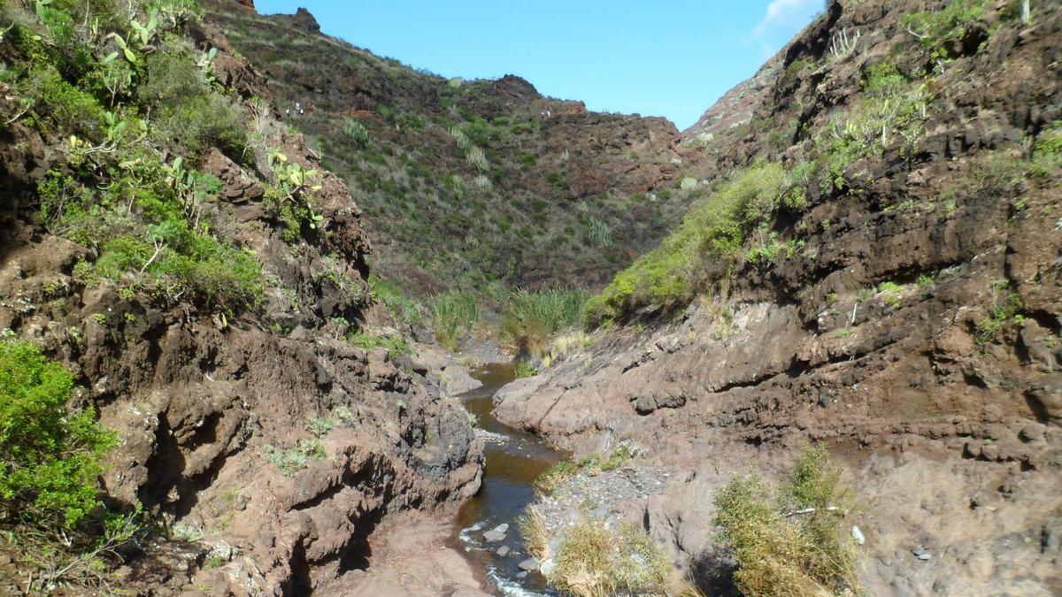 SENDERISMO TENERIFE: Las mejores rutas por barrancos en Tenerife