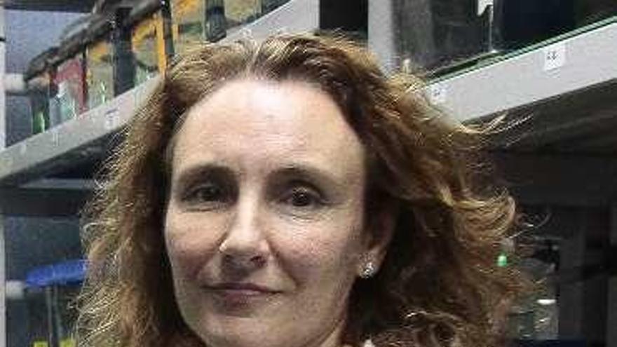 Beatriz Novoa García: "Nuestra asignatura pendiente es divulgar lo que ...