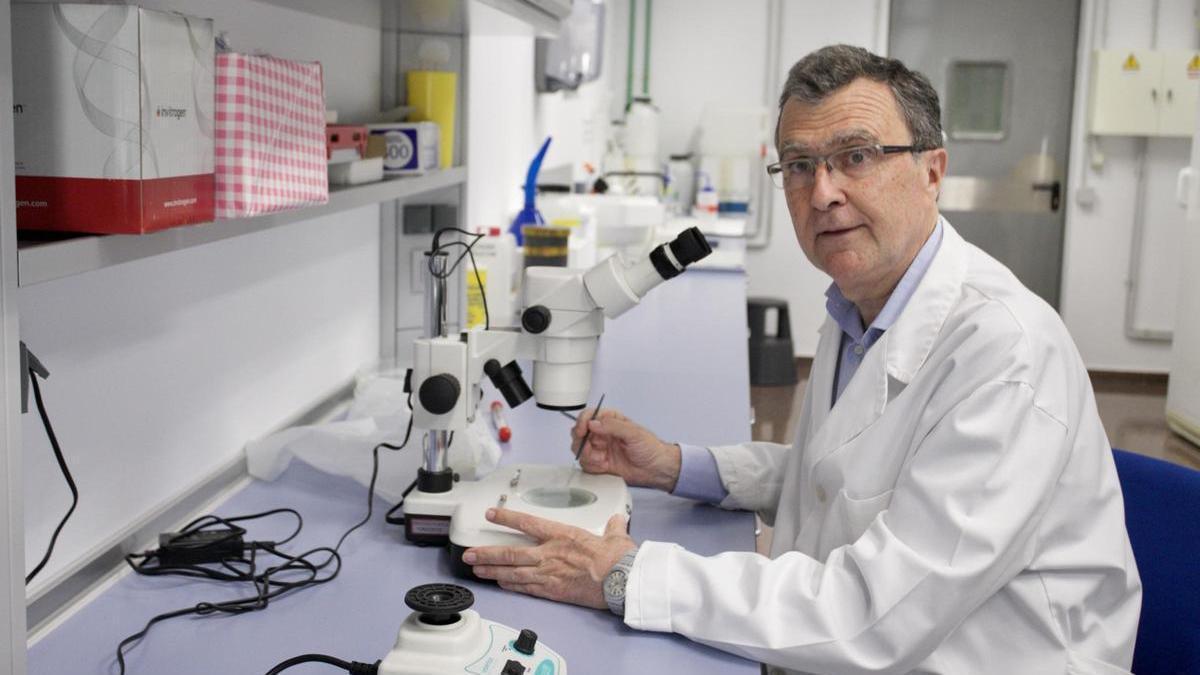 Muere José Ballesta, alcalde de Murcia | José Ballesta, un rector de ...