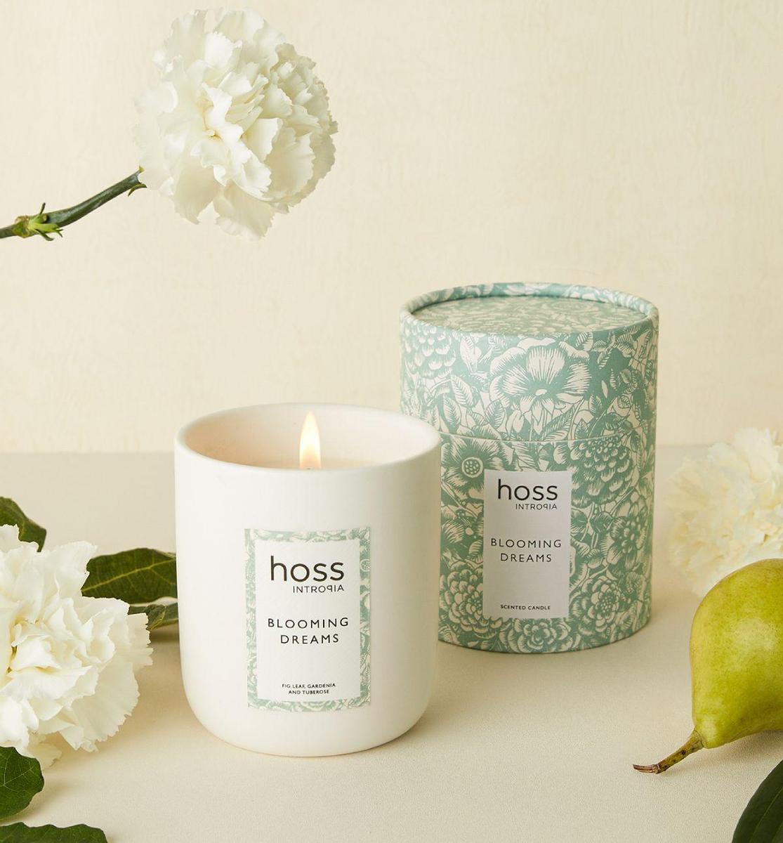 ÓSCAR DEL PERFUME: Estos son los mejores perfumes del hogar del año ...