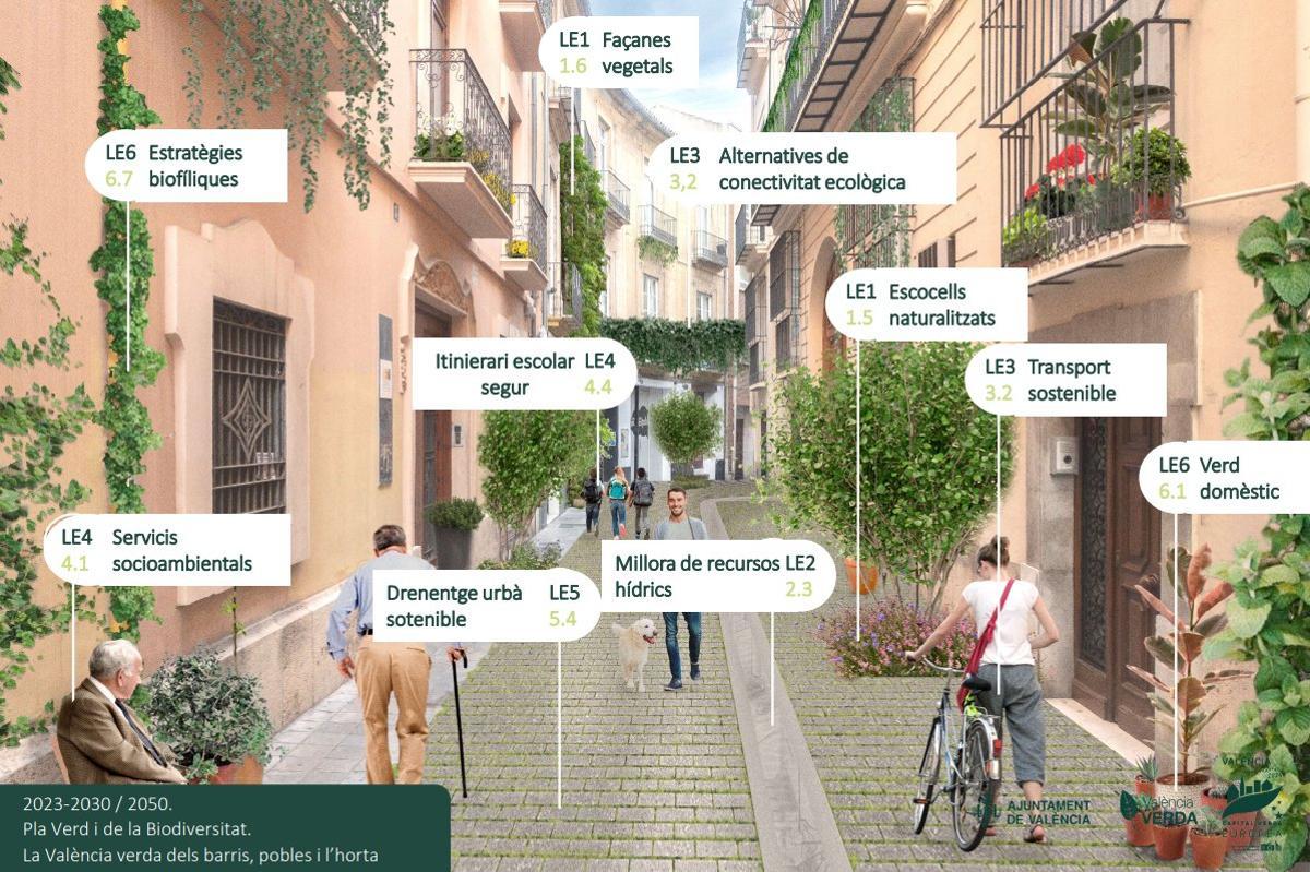 Valencia | El Plan Verde y de la Biodiversidad Urbana de València ...