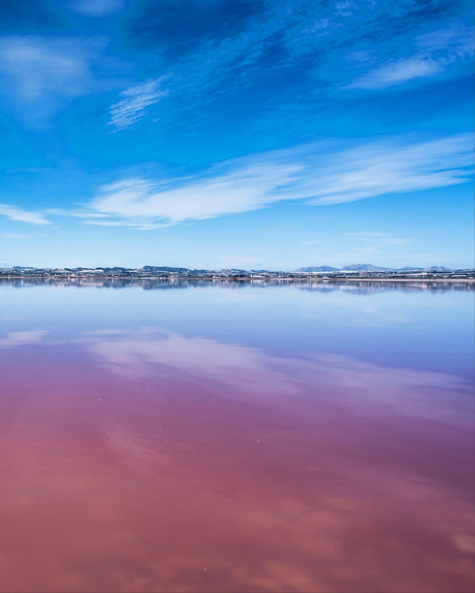 FOTOS : La laguna rosa de la Comunitat Valenciana