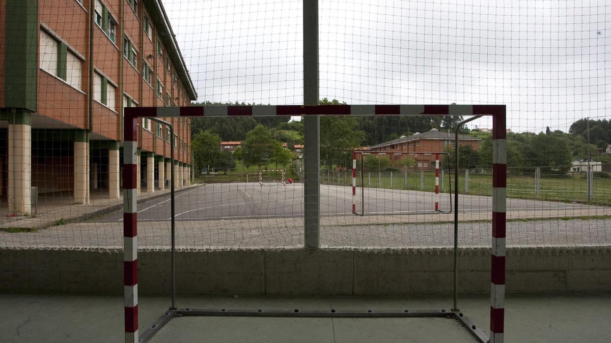 Por culpa de este animal se ha "revolucionado" la vida escolar en el ...