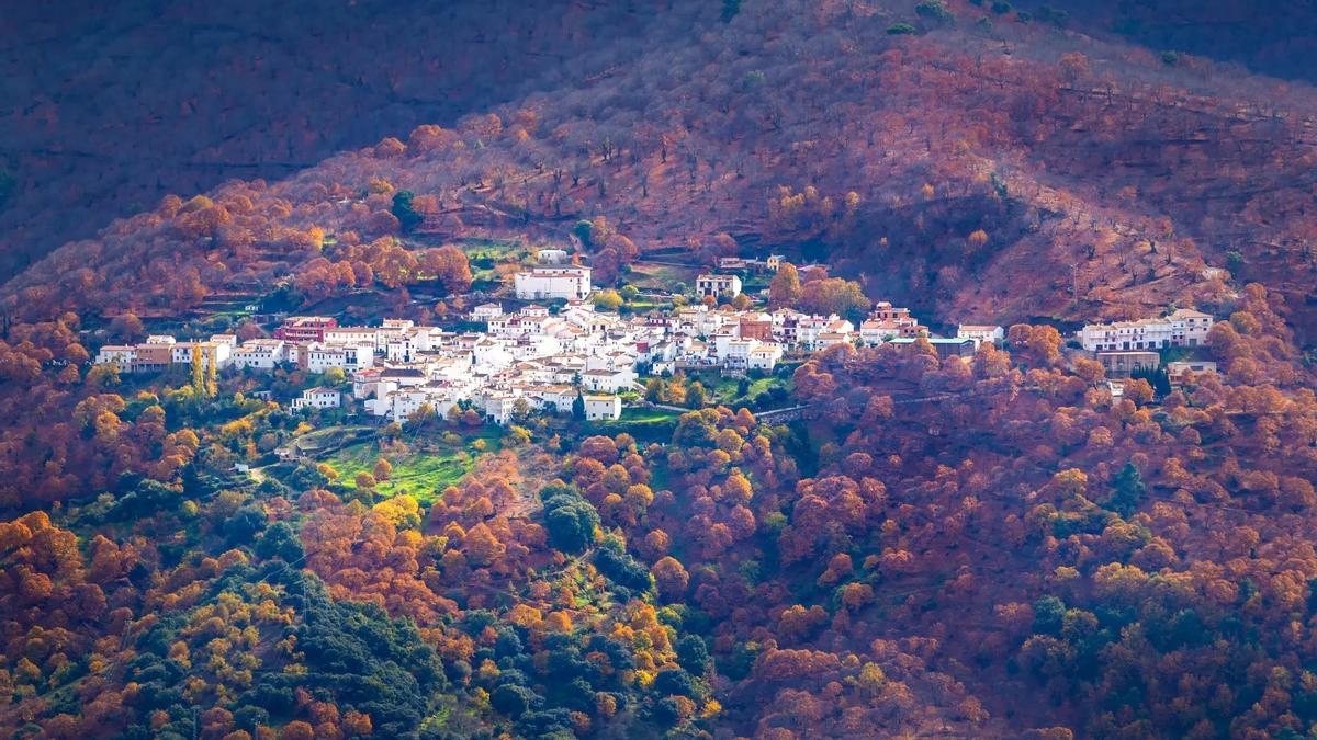 Parauta, recomendada por 'The Sun' por su pasado andalusí y sus bosques