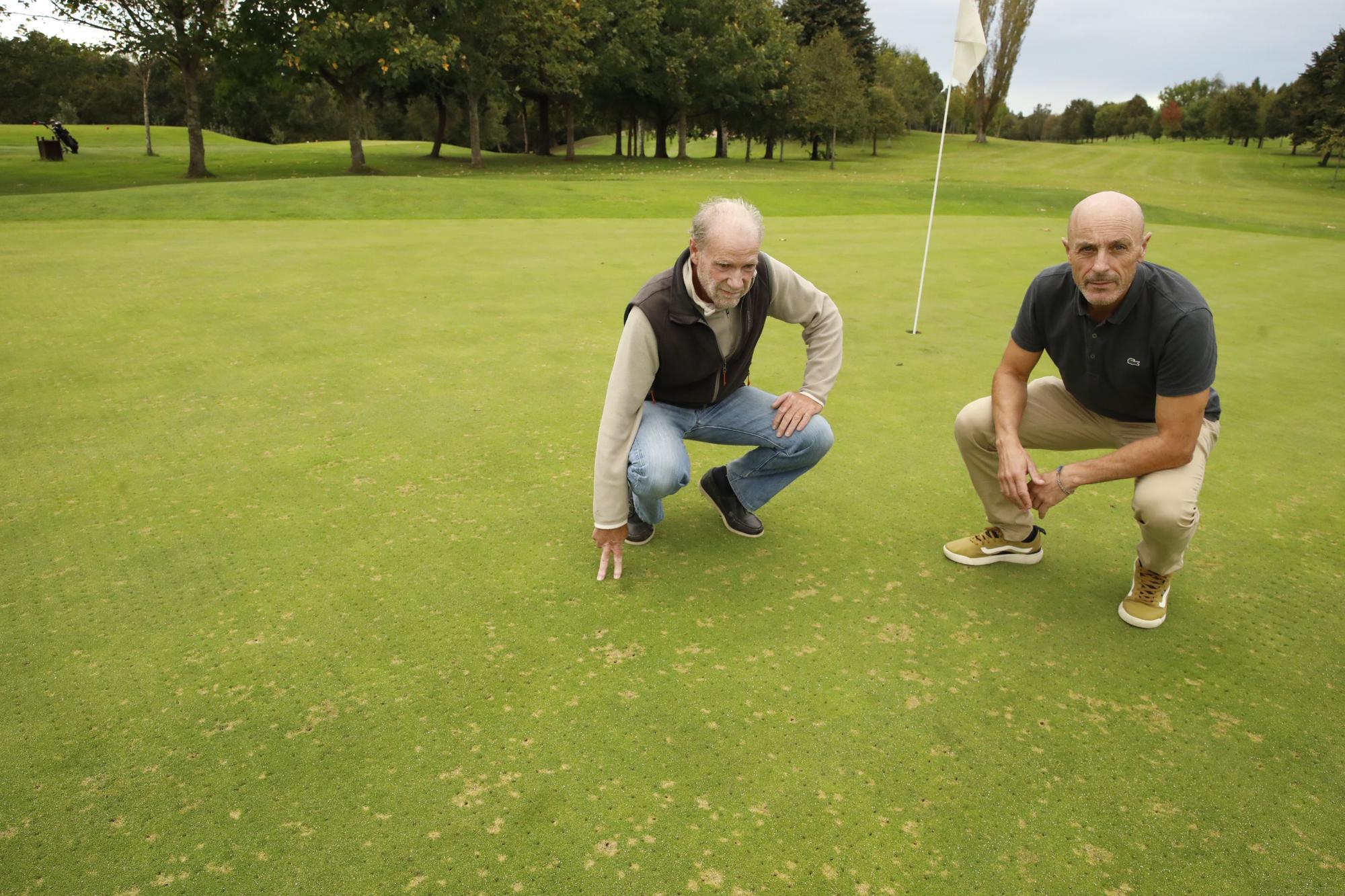 En imágenes: Quejas en el campo de golf de La Llorea por el "pésimo ...