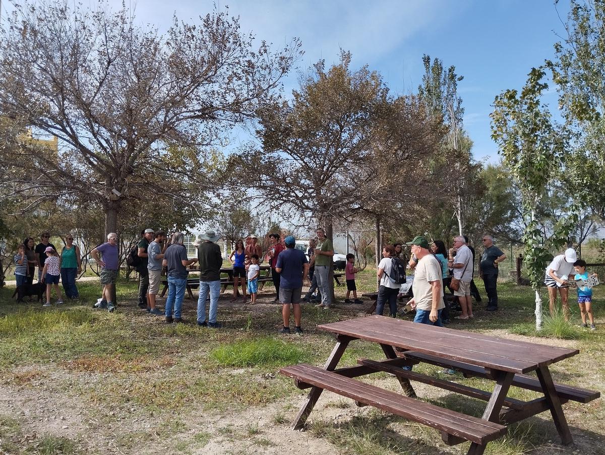 La Casa Penya acomiada el 2024 amb un taller per a investigar quins ...