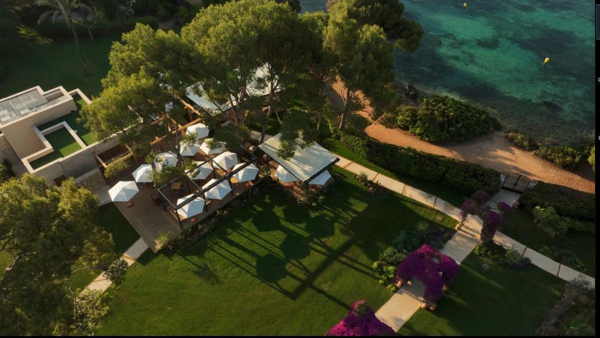 Mar Sea Club: Vive una experiencia gastronómica única en Mallorca en el ...