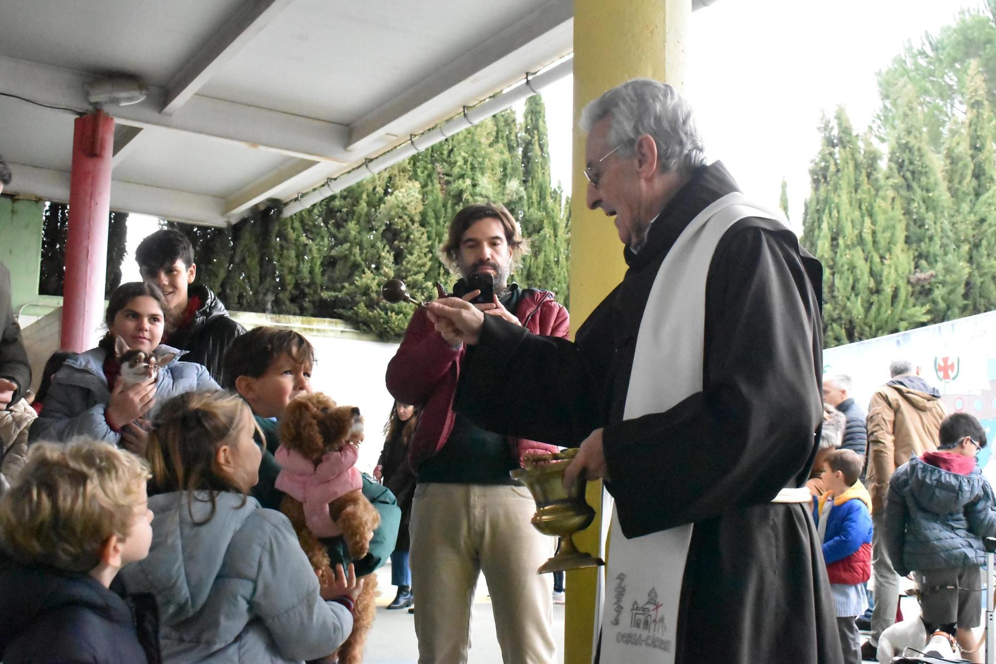 Galería | Así es Galisteo - El Periódico Extremadura