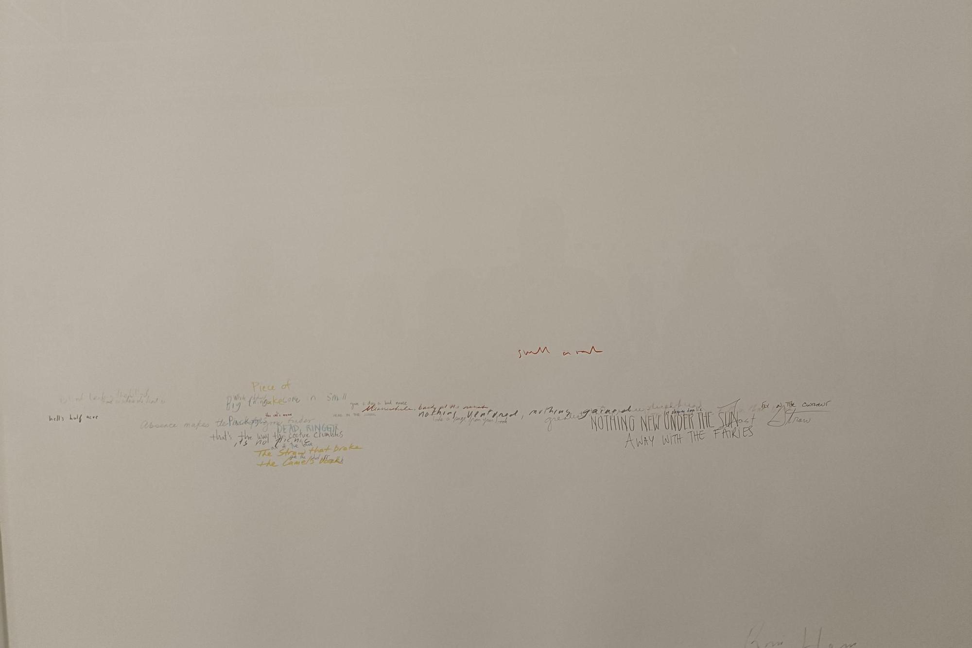 Así es "Me paraliza la esperanza", la exposición de Roni Horn, en el ...