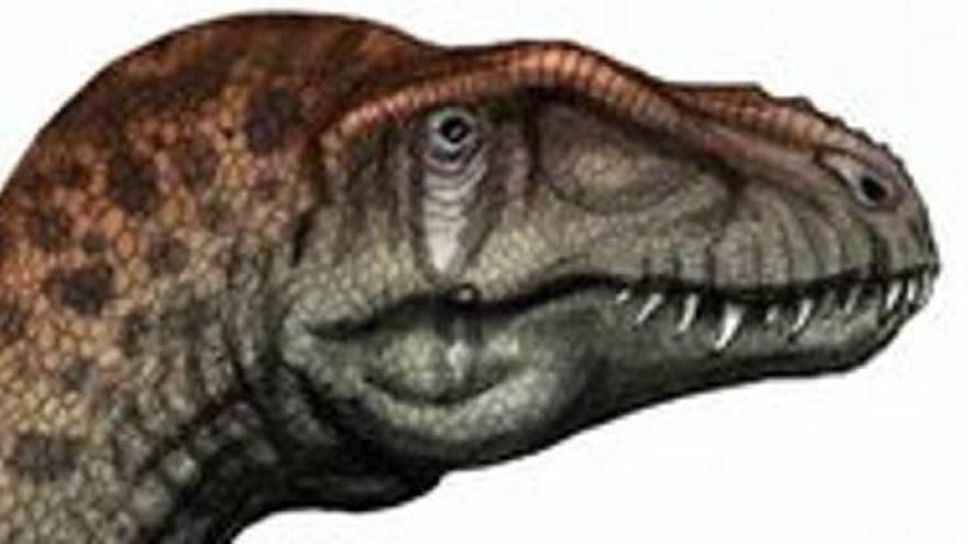 Sauroniops / El ojo del saurio - Información