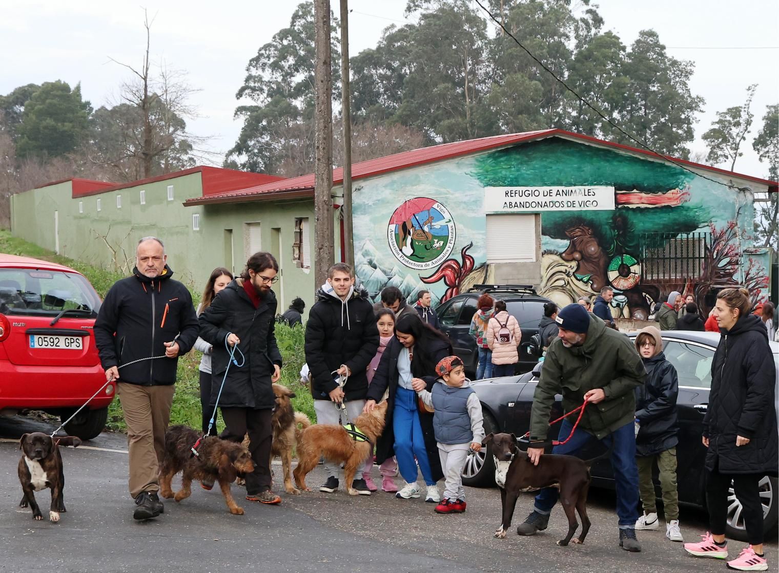 PASEO DE PERROS PERRERA VIGO: Un paseo de esperanza para los perros de ...