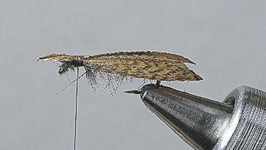 FRIGANEA OBSOLETA Una buena opción para pescar truchas y reos - La ...