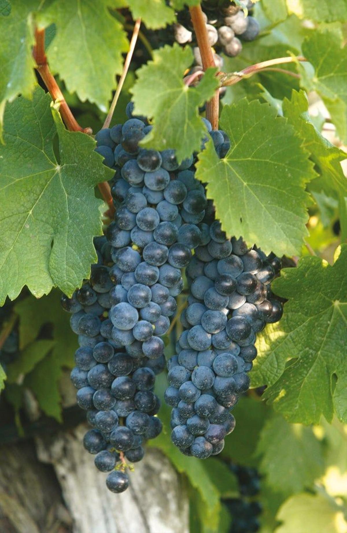 10 motivos por los que descubrir Eslovenia - Viajar