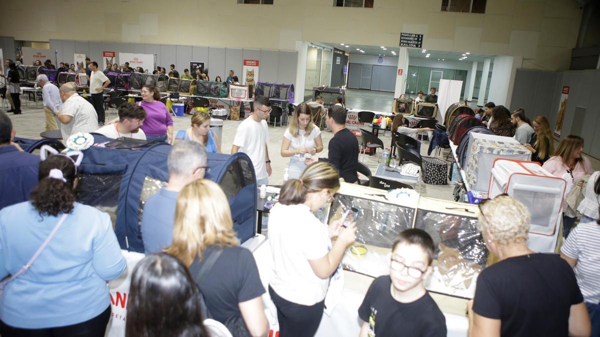La Exposición Internacional Canina y Felina recibe a más de 12.000 ...