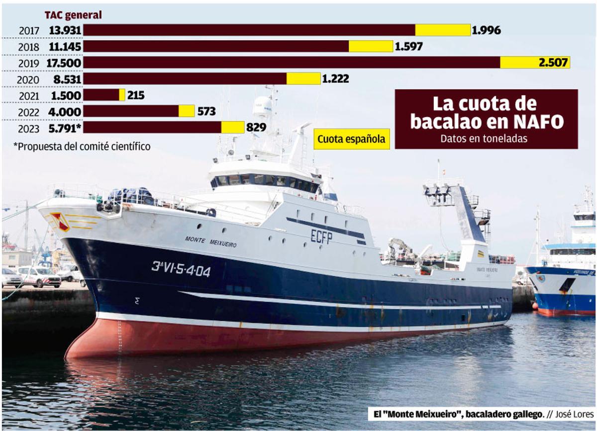 Científicos de NAFO abren la mano con la cuota de bacalao y plantean un ...