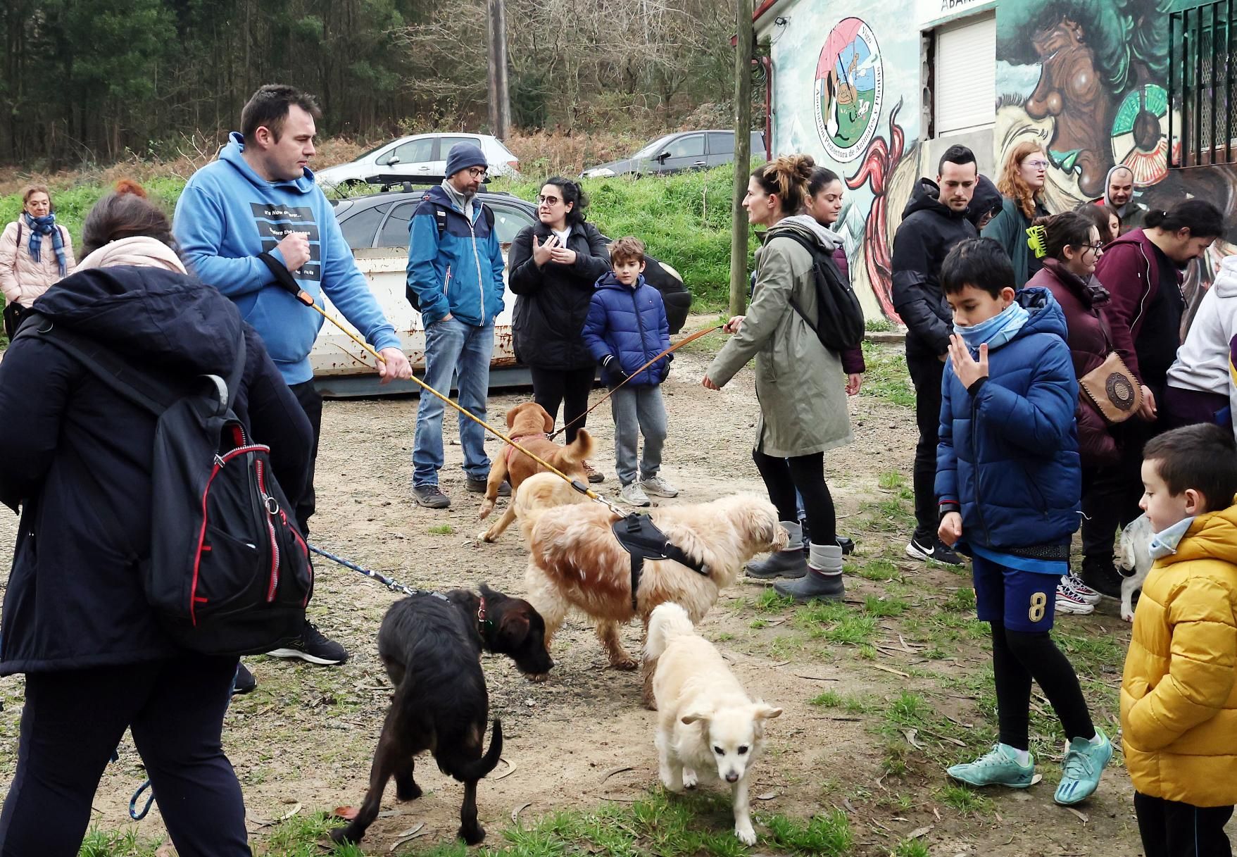 PASEO DE PERROS PERRERA VIGO: Un paseo de esperanza para los perros de ...