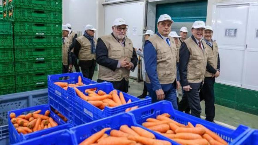 La agricultura se reinventa en Villena con nuevos productos de fácil ...