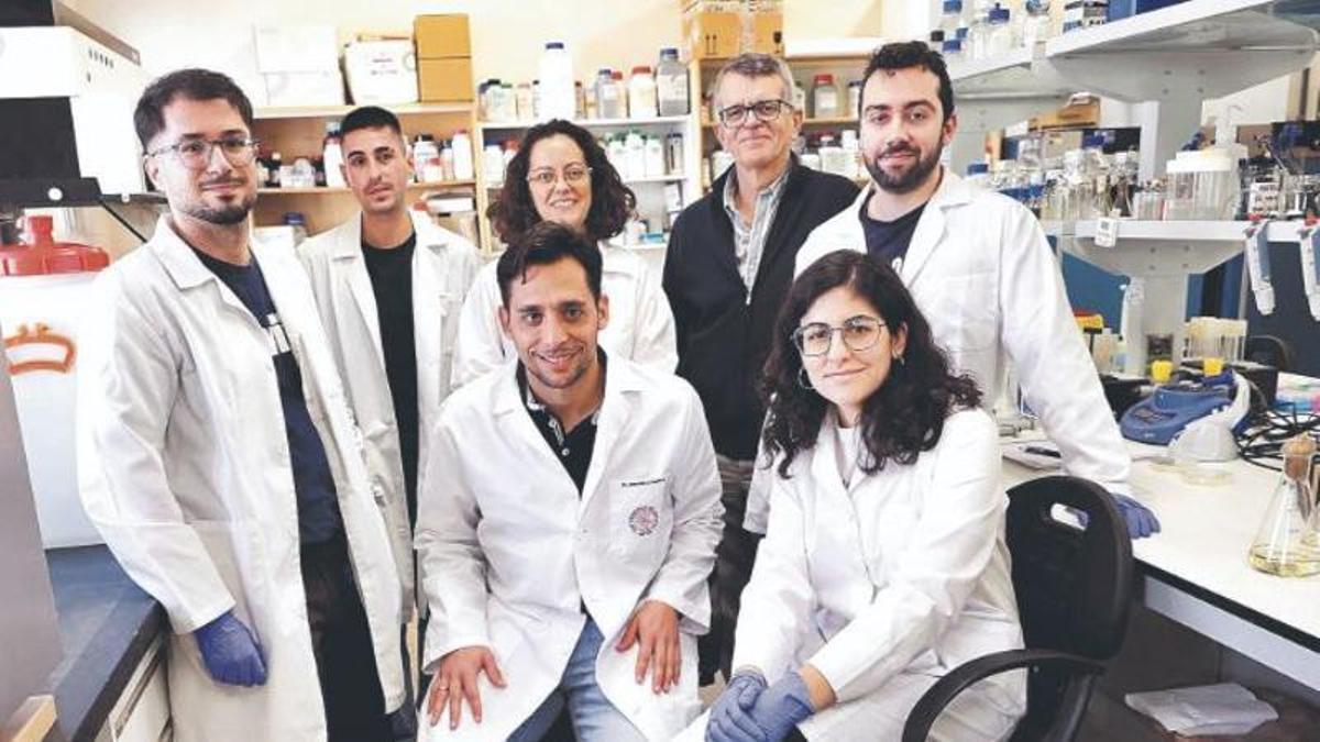 ANTIBIÓTICOS | Un hallazgo que ayudará a los humanos a ser más ...