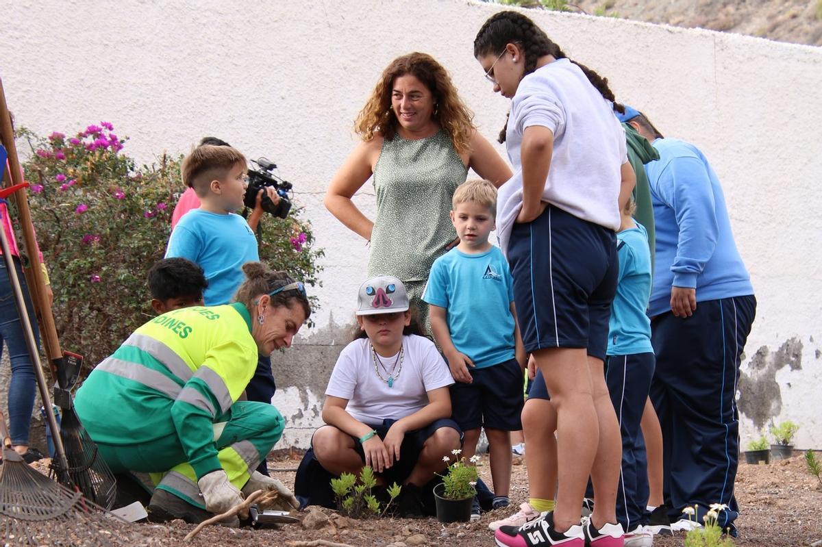 LAS PALMAS DE GRAN CANARIA | Zárate vive una actuación integral de ...
