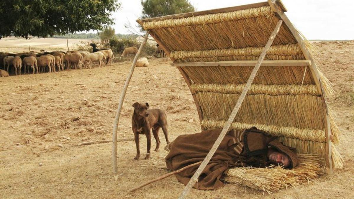 El pastoreo, uno de los oficios más duros del campo zamorano
