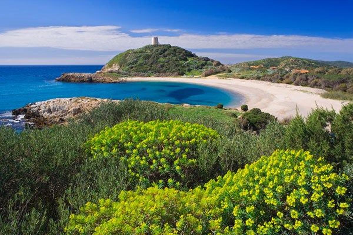 Cerdeña, la isla tesoro de Italia - Viajar